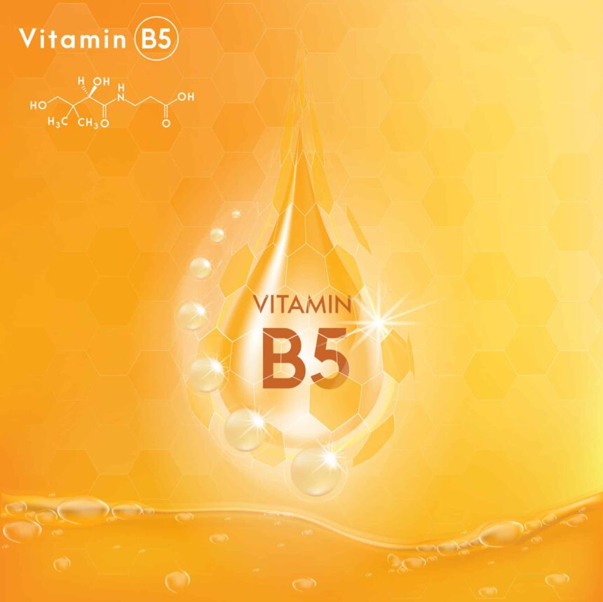 Vitamin B5 Wirkungen und Funktionen